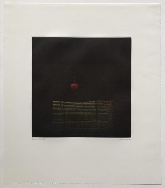 Yozo Hamaguchi, Cherry and Asparagus, 1973 Mezzotint For Sale